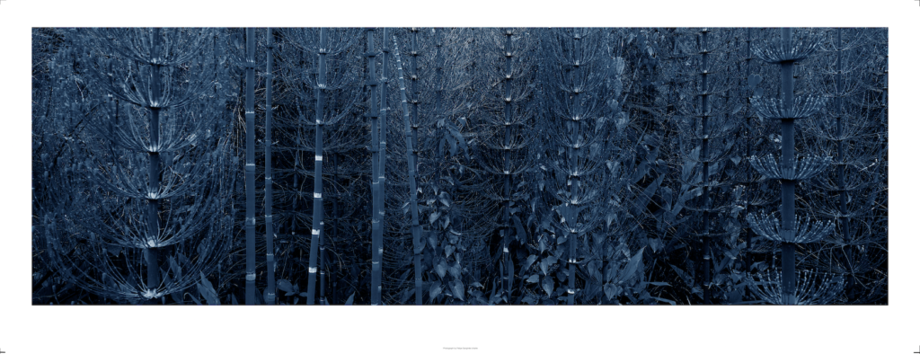 Azul 8 - Limited series of 15 Artist signed. - Satellites of Art